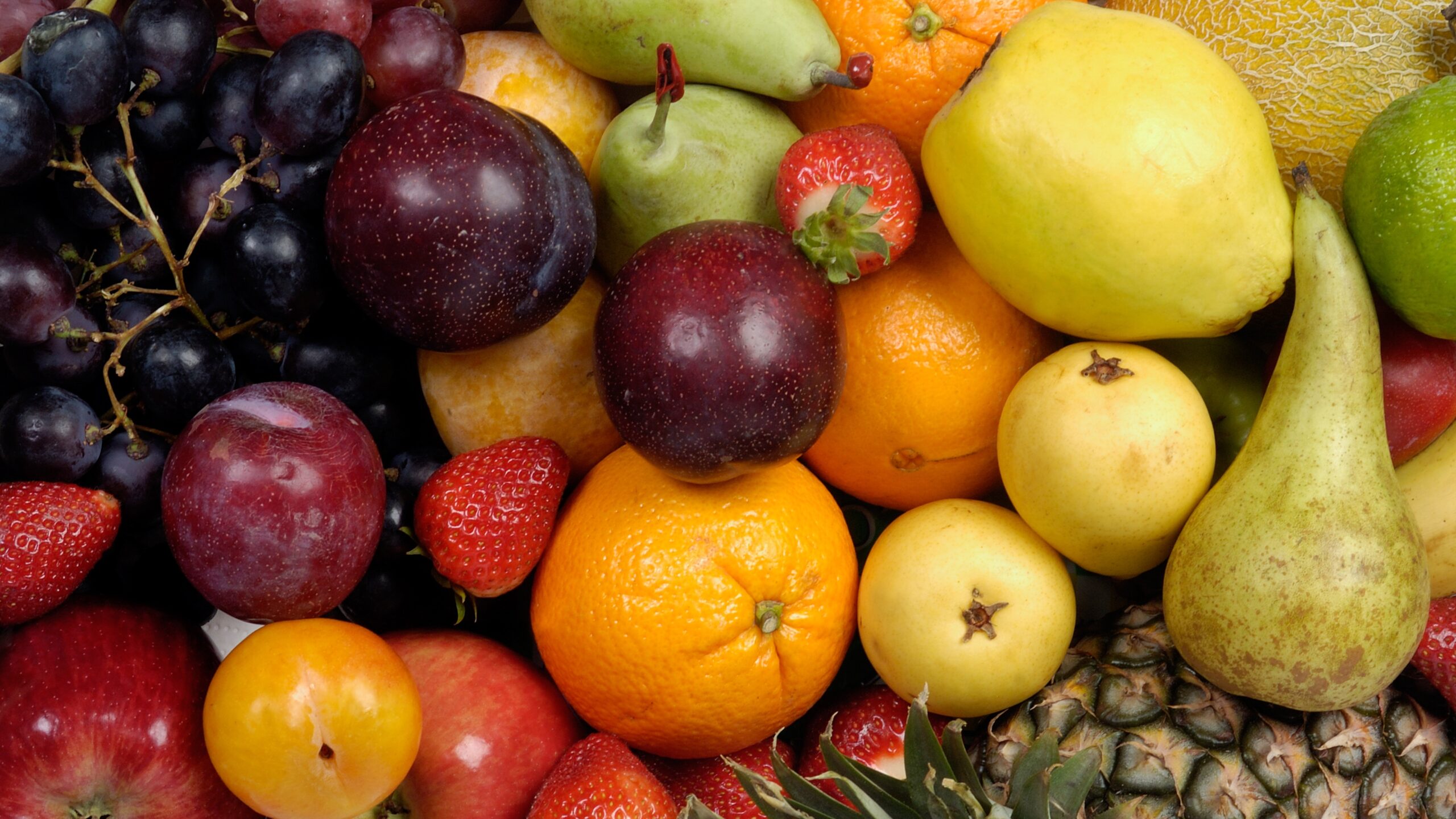 El papel del propionato en la salud intestinal o ¿cómo mantener una ...